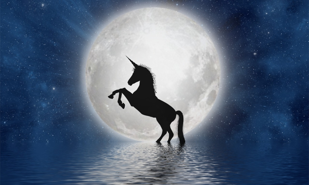 Unicorn Wisdom: What unicorns can teach us- Life & Soul Magazine