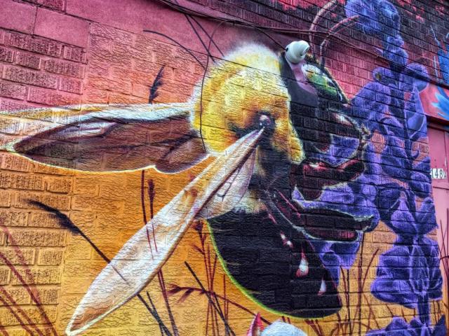 The Pollinators — Graffiti Lux Art & More